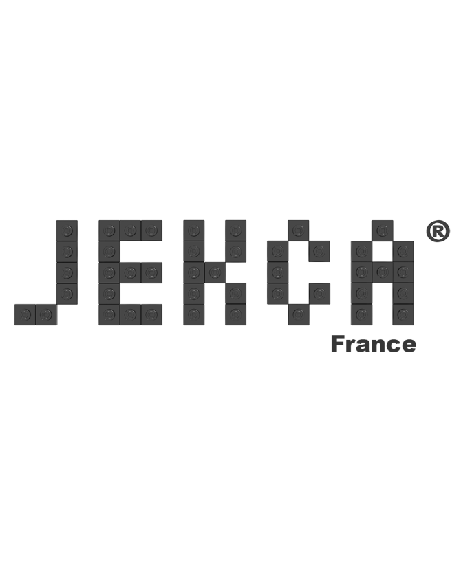 Calopsitte à tête jaune en briques à monter soi-même pour les petits et ...