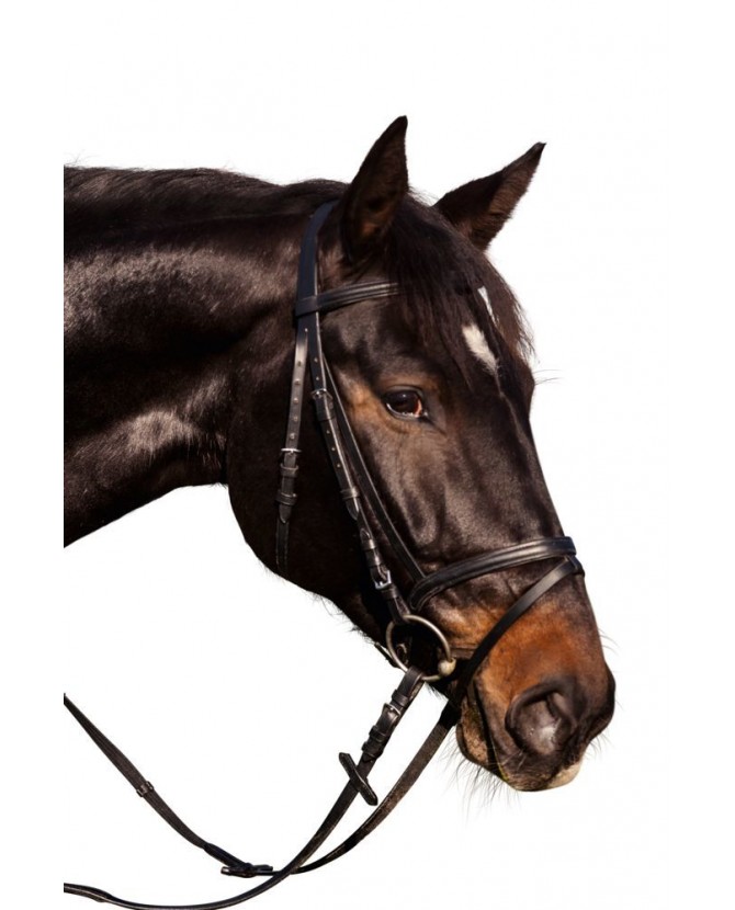 Bridon standard noir Full pour Cheval